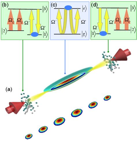 A A Binary Bec Initially Condensed In E Is Sandwiched By Two 3 Level