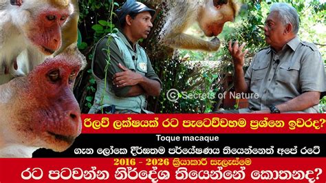 රිලව් ලක්ෂයක් රට පැටෙව්වහම ප්‍රශ්නෙ ඉවරද2016 26 සැලැස්මෙ රට පටවන්න නිර්දේශ තියෙන්නේ කොතනද