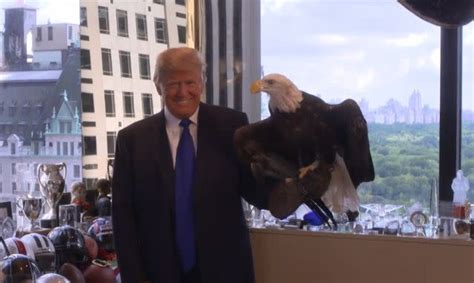Donald Trump Nearly Attacked By Bald Eagle Watch