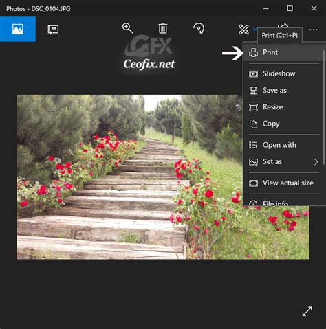Save A Image As PDF In Windows 10