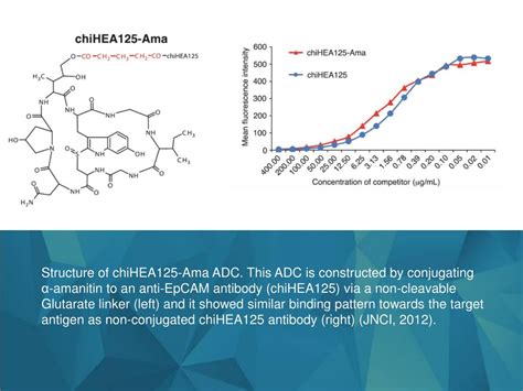 Ppt Amatoxin Powerpoint Presentation Free Download Id7698283