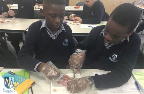 Year 7 Dissection Mount St Marys