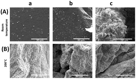 An In Situ Fabrication Method Of Zno And Other Znii Compounds Containing Polypropylene Composites