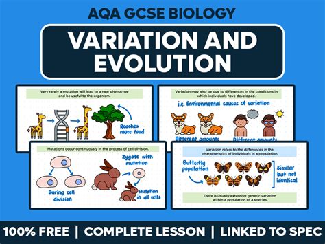 Gcse Aqa Biology Complete Lesson Variation And Evolution Teaching Resources