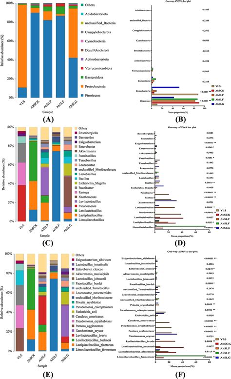 The Bacterial Community Of Fresh Material And Amaranth On 60 Days Of Download Scientific