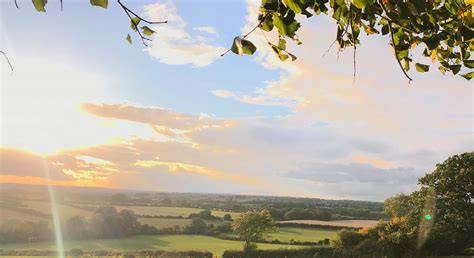 Fine Tuning Bert For Abstractive Summarisation With The Curation Dataset By Henry Dashwood