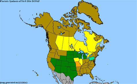 2013 Bonap North American Plant Atlas Taxonmaps