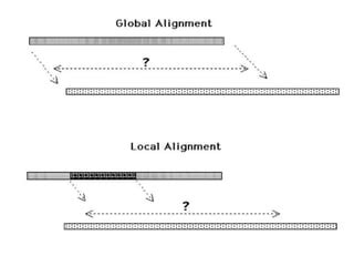 Global And Local Alignment Algorithms Pptx Genetics Science