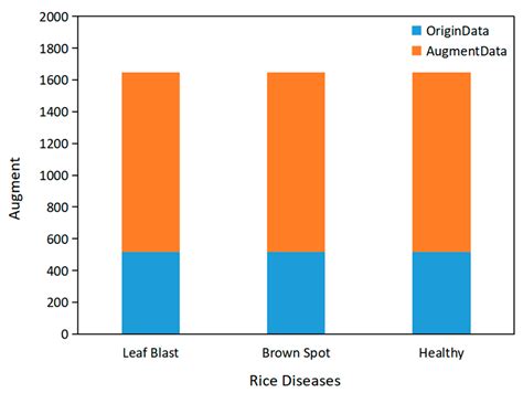 Rice Model Example At Sandra Santos Blog