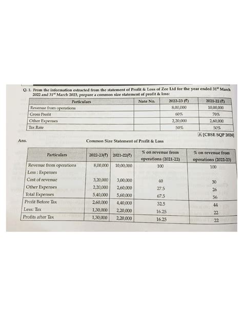 Common Size Statement Pdf