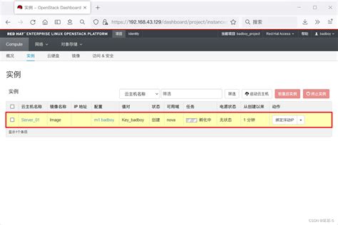 使用redhat Openstack发放云主机small镜像 Csdn博客