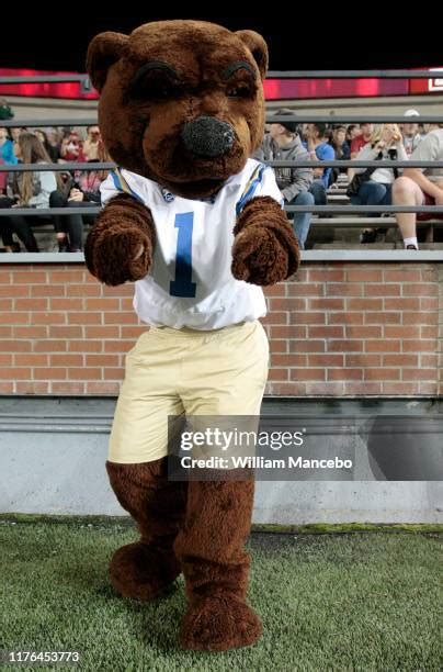 Ucla Mascot Photos And Premium High Res Pictures Getty Images