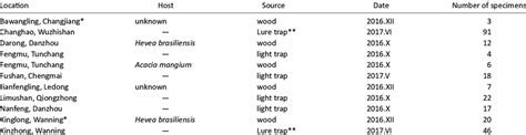 Collection Of Euplatypus Parallelus Specimens In Hainan China From