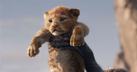 Bambi Is Set For The Live Action Treatment As Disney Announces Recreation Of The Animated