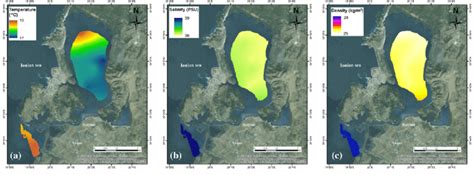 Horizontal Distribution Patterns At 12 M Depth Of A Potential Download Scientific Diagram