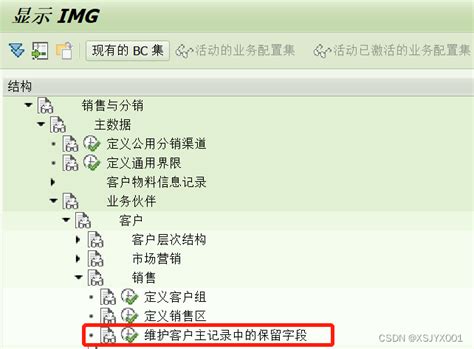 Sap 销售订单附加数据a客户组sap 客户组 Csdn博客