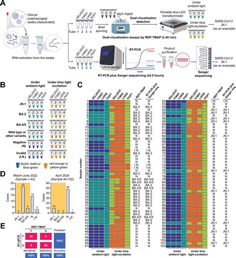 Two‐stage Mixed‐dye‐based Isothermal Amplification With Ribonuclease