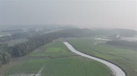 Saxvideodasi Videos Download The Best Free 4k Stock Video Footage