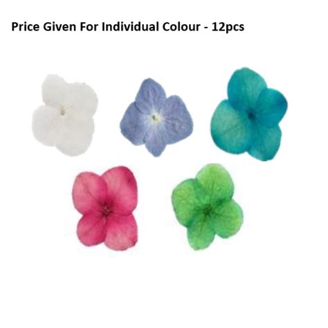 Pressed Dry Flowers Hydrangea 12pcs Haanzlk