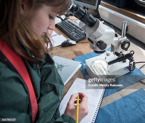 Plankton Microscope Photos And Premium High Res Pictures Getty Images