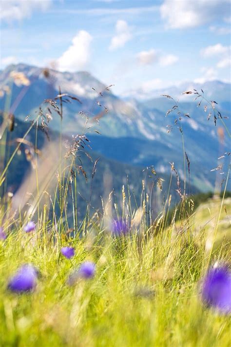 Python上传图片代码