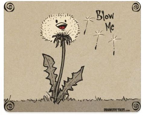 Pin By Jessica M On Makes Me Smile Funny Art Cute Puns Bones Funny