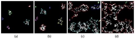 A Real Case Of Hierarchical Morphological Based Crown Contour