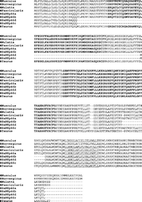 —clustalx Multiple Sequence Alignment Of Nkp46 In Human Four