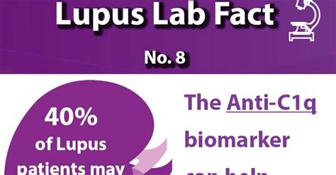 Lupus Lab Fact Kidney Involvement Yup I M Part Of That 40 How About You