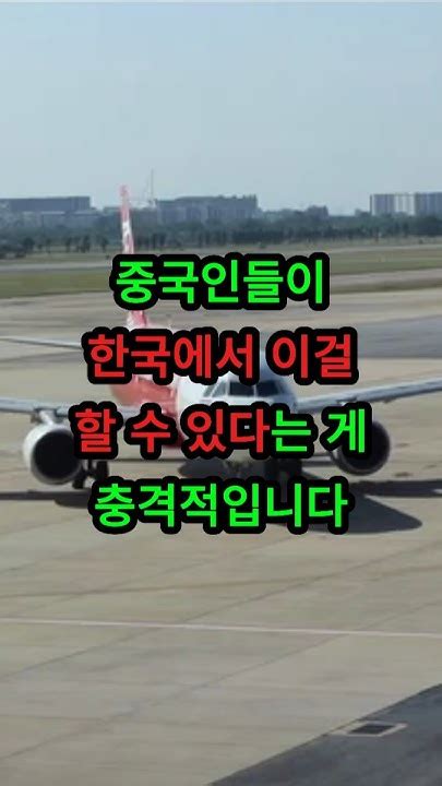 중국인들이 한국에서 이걸 할 수 있다는 게 충격적입니다 Youtube