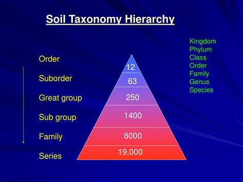 Ppt Soil Taxonomy And Classification Powerpoint Presentation Free