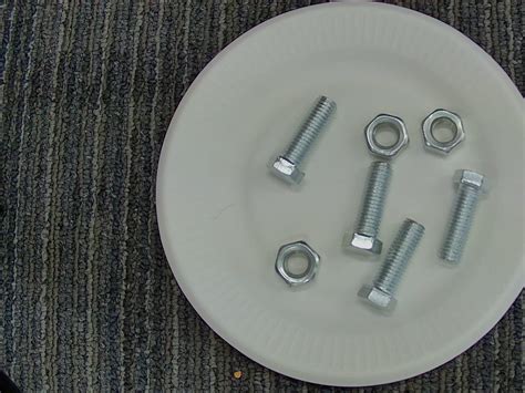 Nut Object Detection Dataset By School