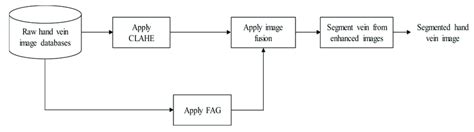 Block Diagram Of The Proposed Fusion Of Clahe And Fag For Hand Vein Download Scientific Diagram