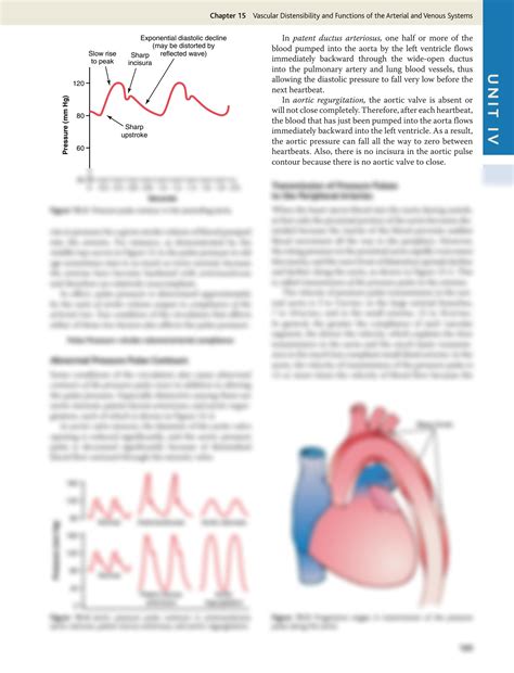Solution Medical Physiology Vascular Distensibility And Functions