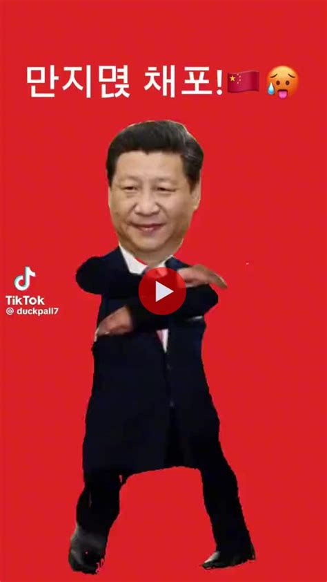 틱톡에서 강제 삭제된 로리신 레퀴엠 챌린지 유머 움짤 이슈 에펨코리아