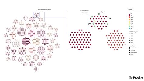 Single Cell Sequencing And Data Analysis On Pipebio
