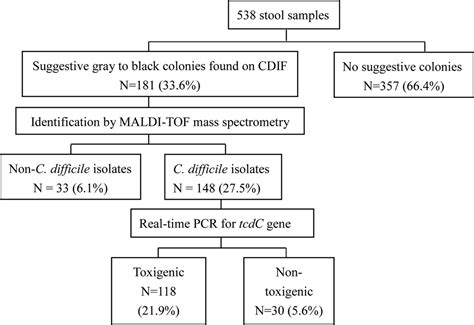 A Cost Effective Approach For Detection Of Toxigenic Clostridium Difficile Toxigenic Culture