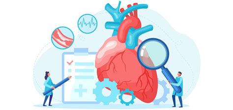 Using Stem Cell Patches To Heal Damaged Hearts Happiest Health