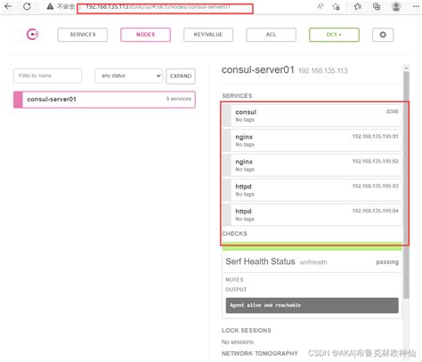 docker【容器】 consul部署 consul容器化部署 csdn博客