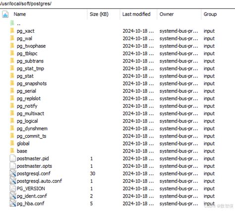 Docker部署postgres教程docker Pull Postgres Csdn博客