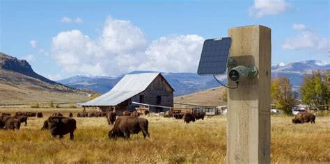 Reolink G330c Go Plus Camo Bežična Kamuflažna 4g Kamera Solarni Panel Alex Shop