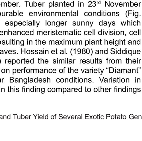 Effect Of Planting Dates A And Genotypes B On Weight Of Tuber Of