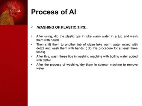 Artificial Insemination In Poultry 1 Pptx