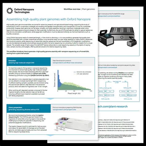 Workflow Overview Plant Genome Assembly