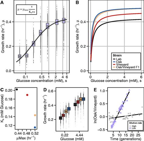 Growth Rate Is Determined By Glucose Concentration In Agreement With