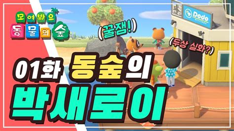 모동숲 첫 플레이 꿀잼보장 캐릭터 만들고 무인도 이주하기 Youtube