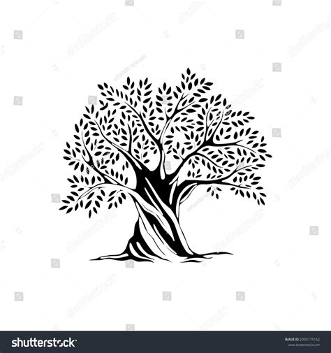 Tree Leaves Vector Illustration Stock Vector Royalty Free Shutterstock
