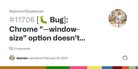 [🐛 bug] chrome window size option doesn t work when using