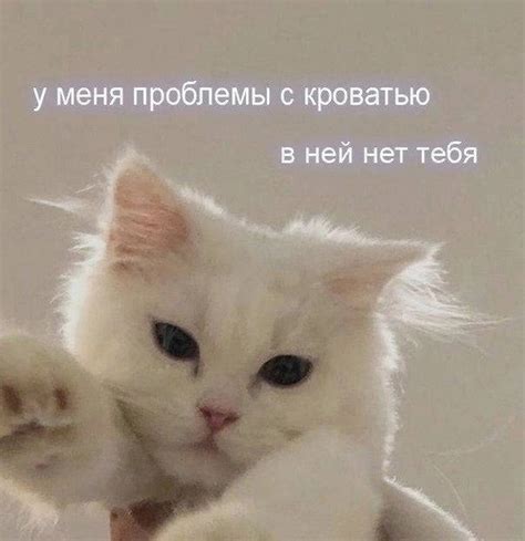 печальная проблема так то 2025 Sex Memes ВКонтакте