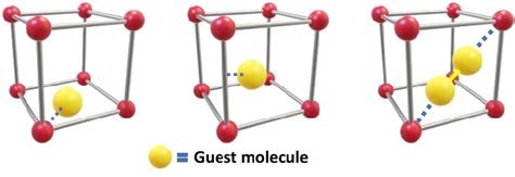 Schematic Diagram Of Different Host Guest Interactions In Framework Download Scientific Diagram